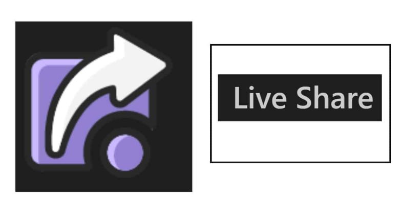 Paired Programming and Collaboration - Visual Studio Live Share ...