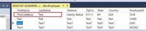 Connect .NET SQL Database C# Example - TheCodeBuzz