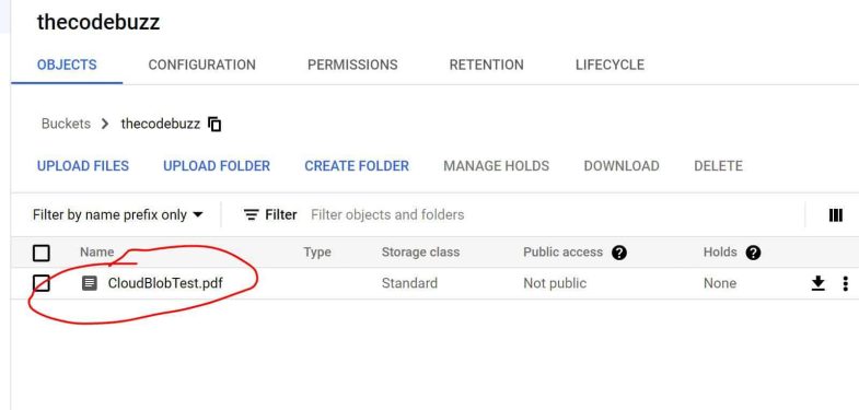 Powershell Upload, Download file Google Cloud Storage Bucket - TheCodeBuzz